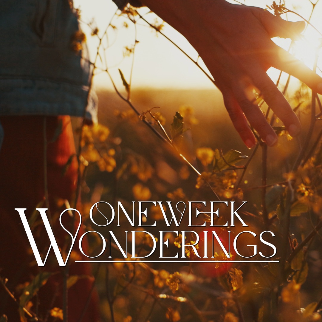 One Week Wonderings | Fall Sermon Series | New Hope Church Clovis